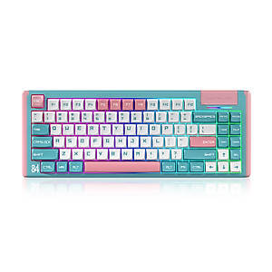 DUSTSILVER D84 Wireless 75% Cute Mechanical Keyboard with RGB, Hot Swappable, Bluetooth/2.4G/Type-C Connection, Gateron Red Switches for Smooth Typing