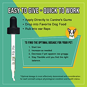 Hemp Dog Health - HEAL - Hemp Oil for Dogs - for Dog Seizure Relief, Autoimmune Conditions, & Cushing's - Add Dog Hemp Oil to Dog's Gums or Directly to Food - 100% Natural Ingredients