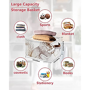 Storage Bins Squirrel Hold Pinecone Storage Box Foldable Storage Basket for Shelves Storage Cubes Bin for Organizing Closet Nursery Toy Organizers with Handles