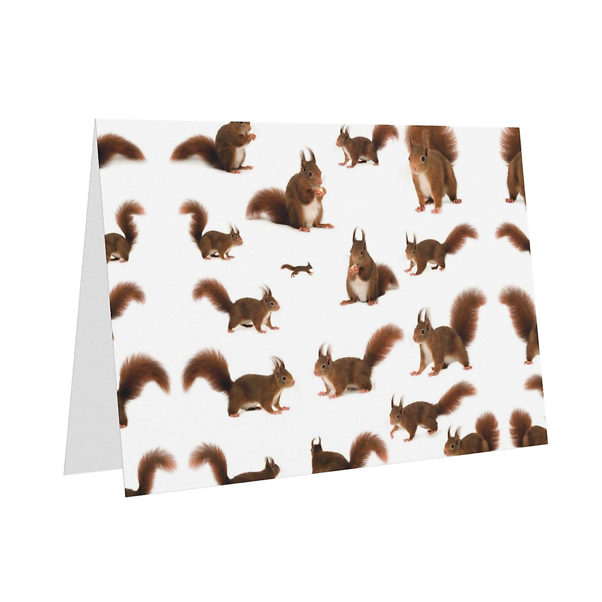 MQGMZ Cute Squirrels Print Holiday Greeting Cards Blank Note Cards With Envelopes For All Occasions Birthdays
