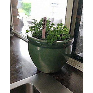 HERB BROS Stainless Aluminum Herb Markers [Set of 10] - Easy to Read Metal Plant Labels for Garden Herbs