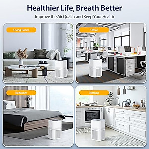 AP301 Replacement Filter, Compatible with Dayette AP301 AP302 and JOWSET AP301 AP302 AP303 and AIRJOWSET AP304 Air Purifier, H13 True HEPA Filter, NOT FOR AP401 AP402 AP403 AP404 Air Purifier