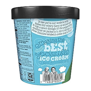 Ben & Jerry's Mint Chocolate Cookie Peppermint Ice Cream Pint Non-GMO 16 oz