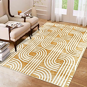 CARMIO Area Rug 8x10, Machine Washable Rugs Soft Living Room Rugs Arch Pattern Knot Modern Print Area Rug Non Slip Indoor Floor Carpet for Bedroom Nursery Kitchen, Coffee