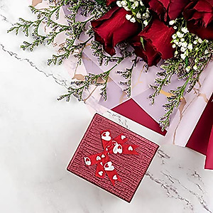 9 Rolls 27 Yards Valentine Ribbons Red Pink Ribbons Love Gnomes Decorative Grosgrain Ribbons XOXO Heart Dot Valentine's Day Satin Ribbon 3/8" Wide for Gift Wrapping Crafts Anniversary Party