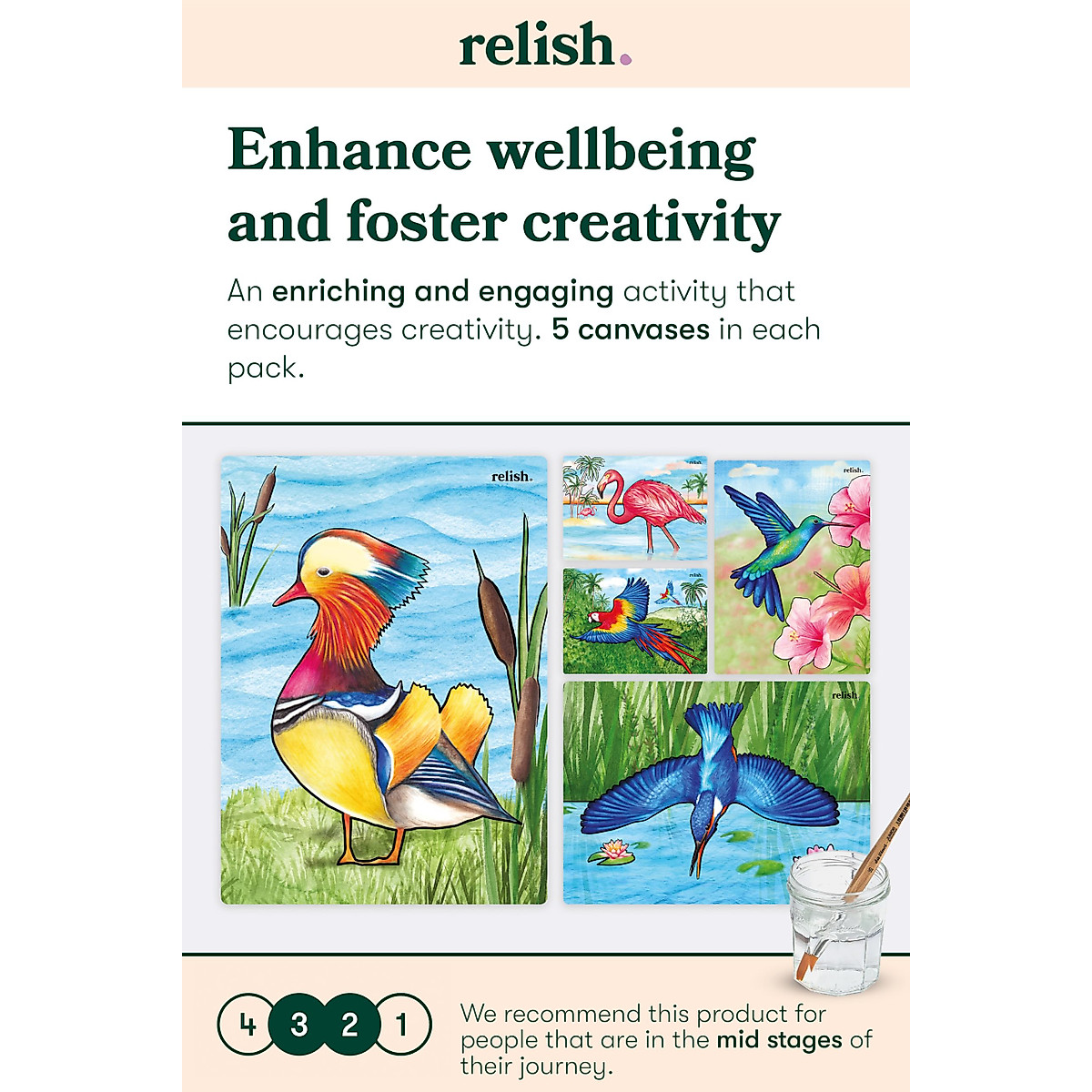 Relish Magnificent Birds Aquapaints - Pack of 5 Reusable Water Painting Activities, Products & Aids for Elderly