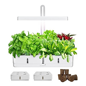 Indoor Herb Garden Gifts New Home Decor, Hydroponics Growing System, Herb Garden, Plant Germination Kit Aeroponic Herb Vegetable Growth Lamp Countertop with LED Grow Light Hydrophonic Planter Grower