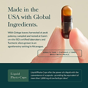 Gaia Herbs Agile Mind - Brain & Cognitive Support Herbal Supplements - with Organic Turmeric Root, Bacopa, Black Pepper, and Ginkgo Biloba - 60 Vegan Liquid Phyto-Capsules (30-Day Supply)