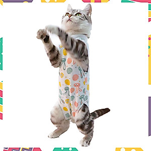 Mairbero cat Recovery Suit,Onesie for cat Surgery Surgical Recovery Suit, Abdominal Wound Or Skin Diseases E-Collar Alternative