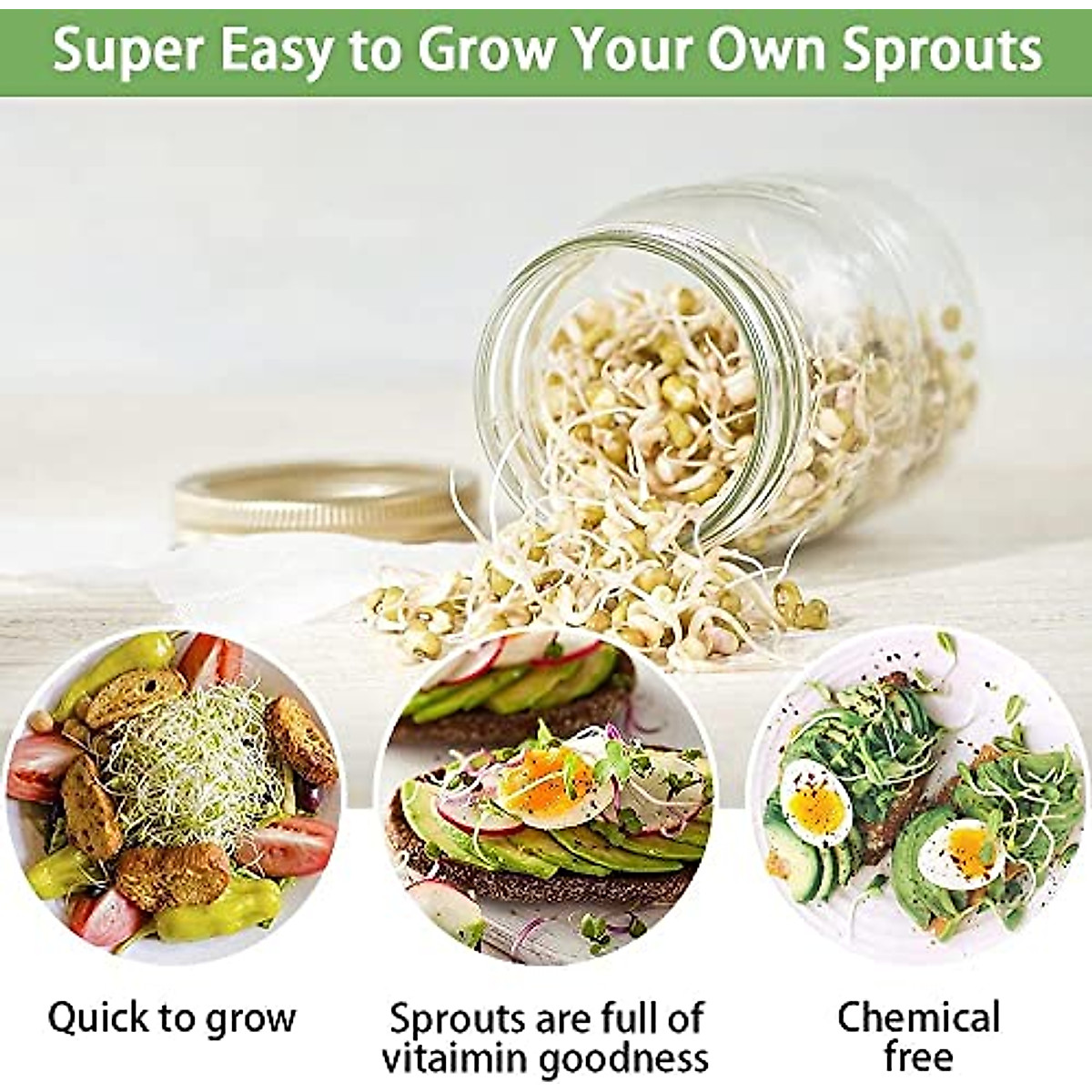 Seed Sprouting Jar Broccoli Sprouts Growing Kit with Screen Lids Wide Mouth Mason Jars for Growing Broccoli, Alfalfa, Mung Bean, Seed Germination Kit Indoor Sprouter Set, 2 Pack