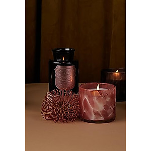 Paddywax Scented Candles Apothecary Noir Glass Jar Luxury Artisan Candle, 8-Ounce, Saffron Rose