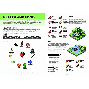 Minecraft: Guide to Survival