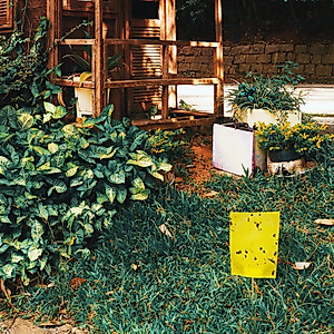 60 Sheets Sticky Fly Traps, Dual-Sided, for Flying Insect, Indoor and Outdoor, Twist Ties and Sticks Included, 8x6 Inch, Yellow