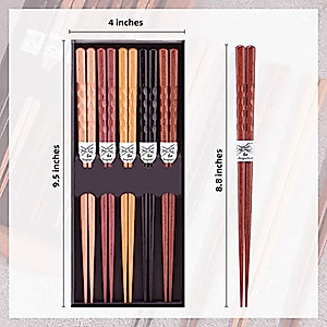 MFJUNS 5-Pairs Reusable Set of Chopsticks, Natural Wood Chopstick and Minimalism Japanese Chopsticks Non-slip Design 8.8 Inch/22.5cm Gift Set