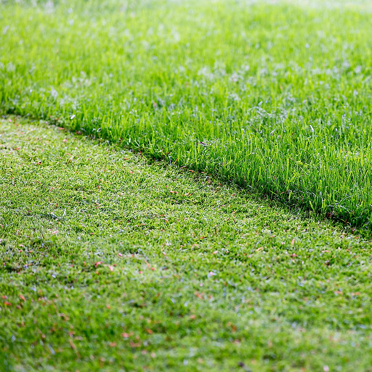 AIVOLT Cordless Weed Trimmer, 20V String Trimmer Battery Powered 2 in 1 Brushless Weed Wacker/Edger Lawn Tool for Yard and Garden, Battery and Fast Charger Included