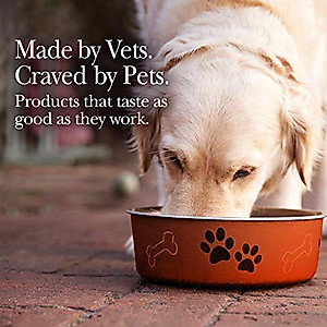 Nutri-Vet Digestive Supplement | Fresh Pumpkin + SuperBlend Formula | Soothes Upset Stomach | For Dogs and Cats 4pack