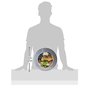 Fish Bubbles Brushed Aluminum Fish Bubble with Deluxe Wall Mounted Fish Tank