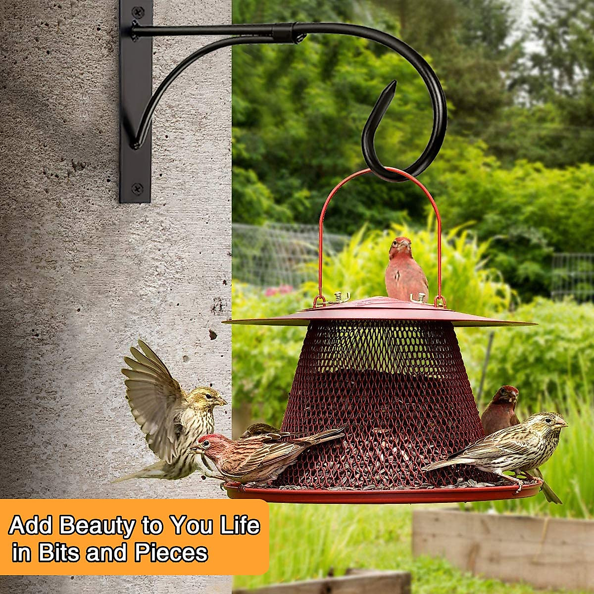 Plant Hanging Brackets, 2 Pcs 11 Inch Iron Hanging Basket Bracket Durable Weather-Resistant Outdoor Plant Hooks for Hanging Plant Lantern Windchime Birdhouse Metal Sign Fruit Bracket, Screw Included