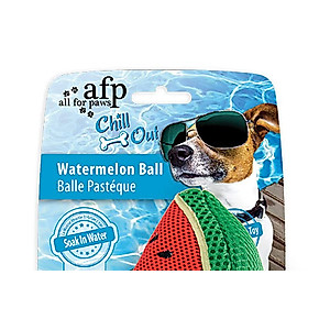 ALL FOR PAWS Chill Out Watermelon Slice Dog Chew Toy, 2.5 kg