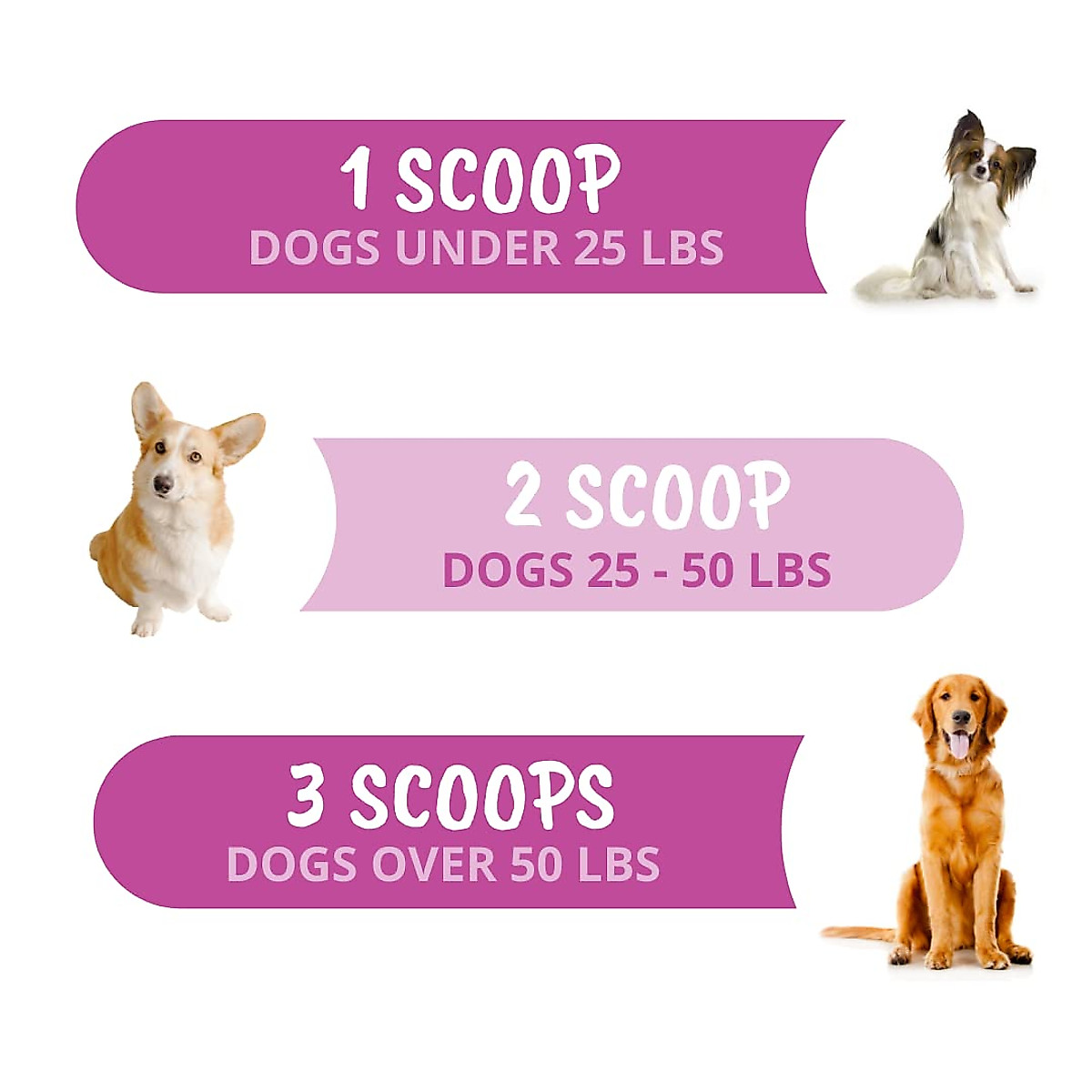 Under the Weather Pet Joint and Hip Powder for Dogs | Vet Formulated Dog Supplements with Glucosamine Antioxidants & Chondroitin for Strong Overall Joint Health | Promotes Good Mobility & Flexibility