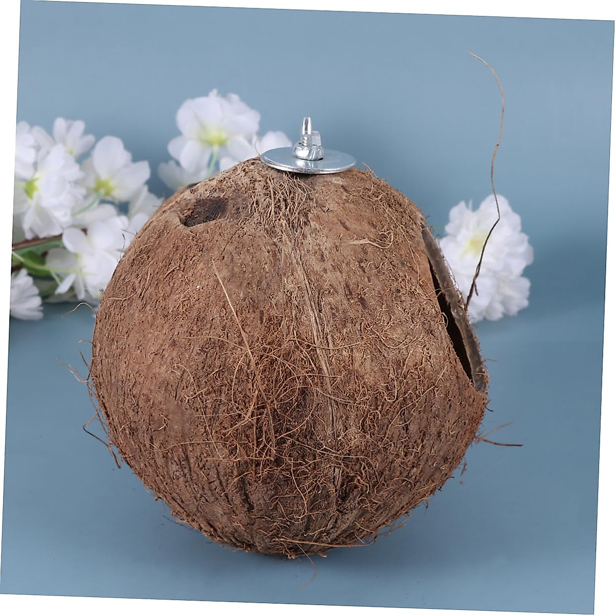 BUGUUYO Coconut Shell Nest for Birds Bird Toys Coconut House Nest for Parrots Bird Nest for Small Pets Bird House