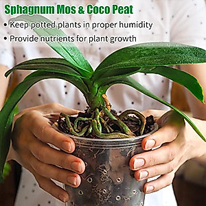 17 OZ Orchid Soil Potting Mix, Orchid Bark for Indoor Plants, Orchid Repotting Potting Soil with Perlite Moss Sphagnum Coco Peat for Phalaenopsis Succulent Plants