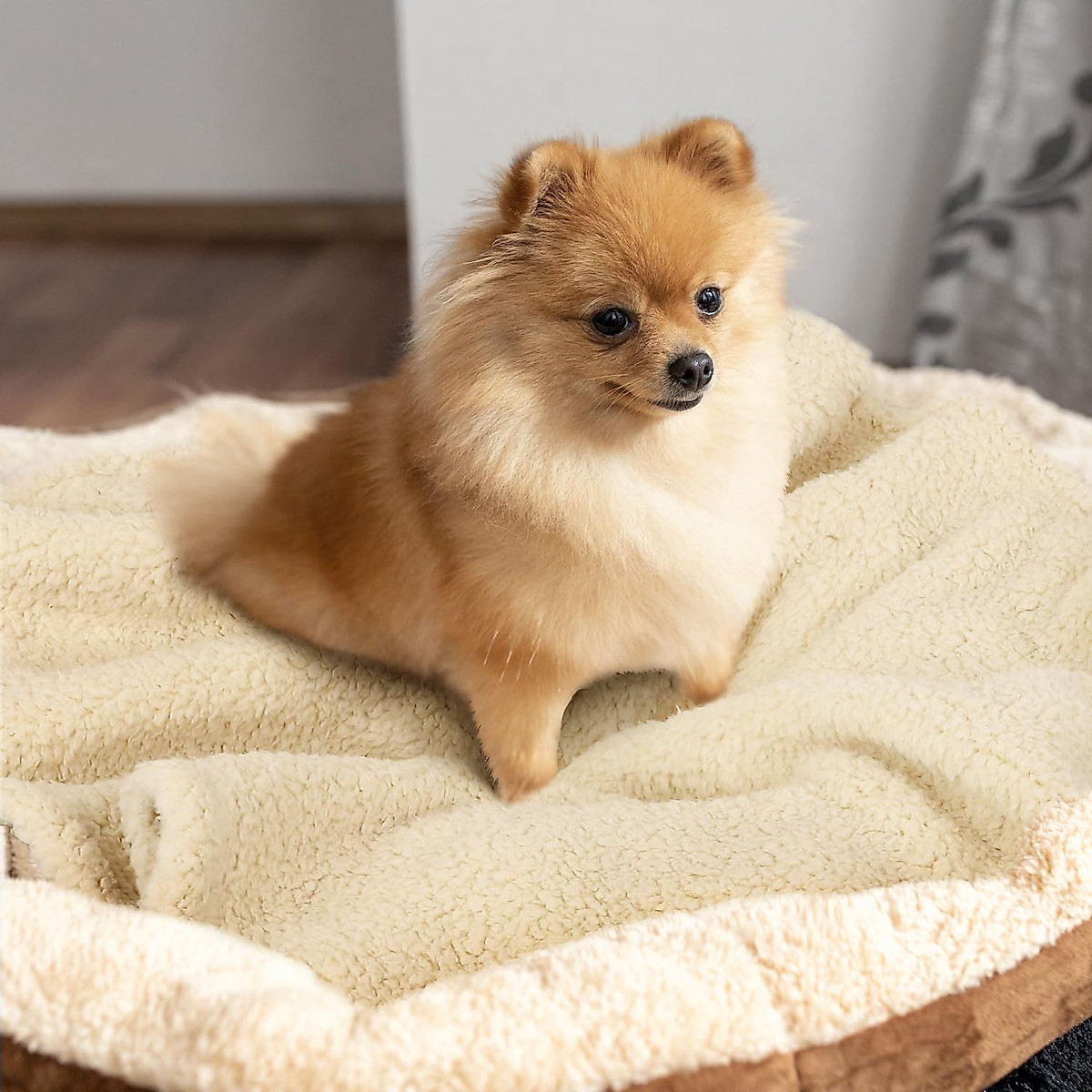 furrybaby Premium Soft Dog Blanket for Small Dogs Puppy Cat Washable Sherpa Fleece 24x32 Inches Pet Throw for Bed Furniture Couch Sofa Protection(Small, Beige Blanket)