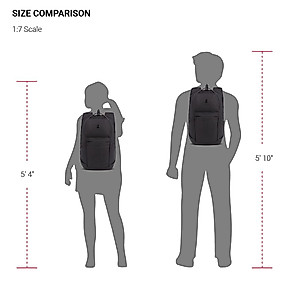 SwissGear 8183 Laptop Backpack, Charcoal Heather, 18 Inches