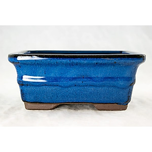 6" Rectangular Blue Bonsai/Succulent Pot + Soil + Tray + Rock + Mesh Kit