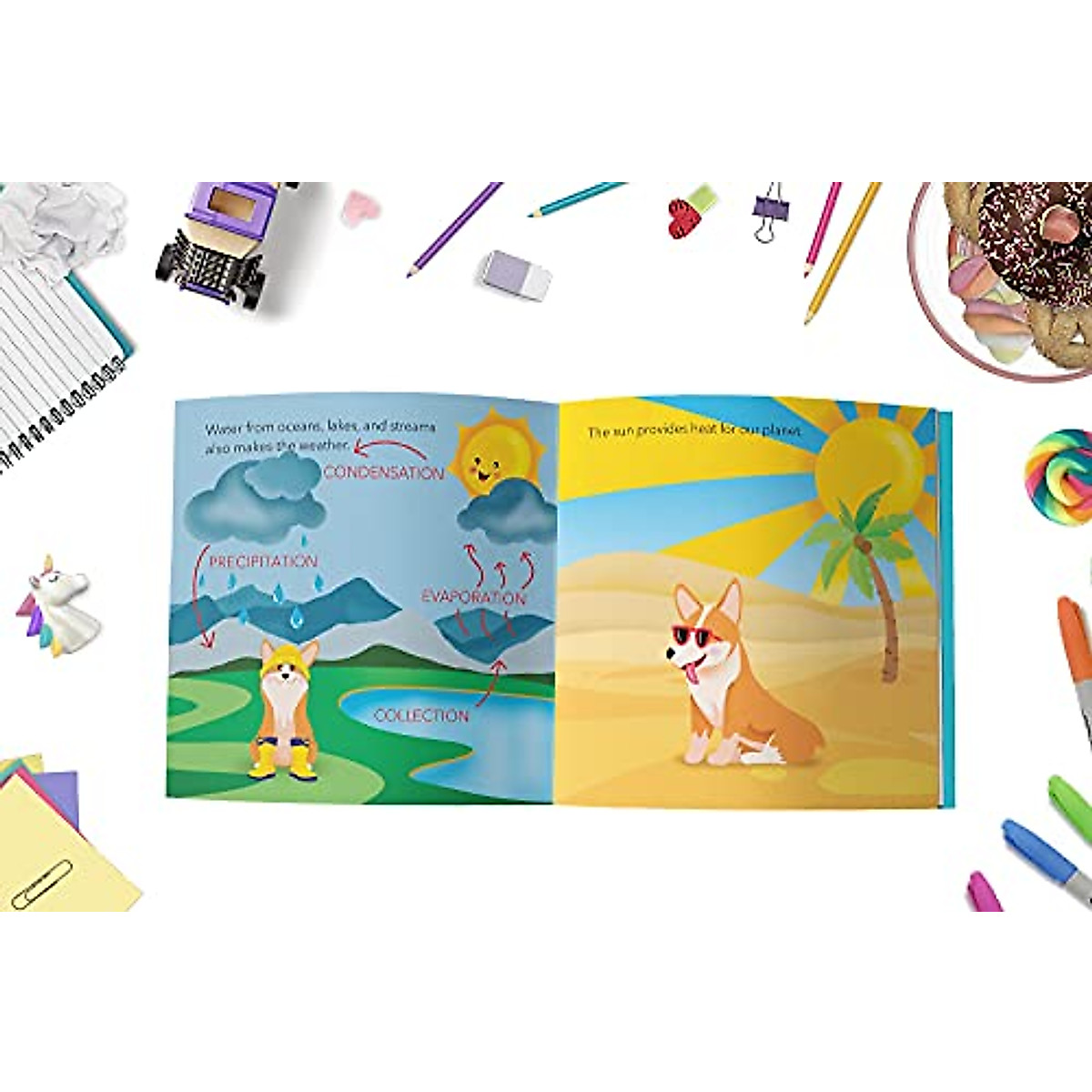 Rain, Snow or Shine: A Book About the Weather