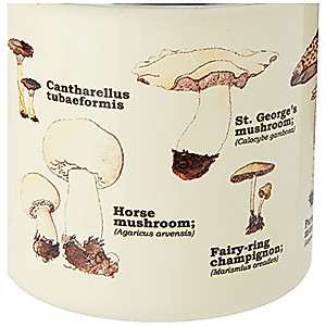 Gift Republic Mushroom Enamel Mug and Socks Set, Off-white