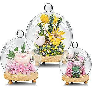 3 Pieces Cloche Glass Dome Glass Cloche Globe Display Dome 3 Sizes Glass Ball Shape Dome Cake Stand with Dome Clear Ball Display Pedestals with Dome Glass Dome Centerpiece for Candle Decor Plant Food
