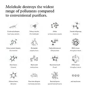 Molekule Air Pro -PECO Filter