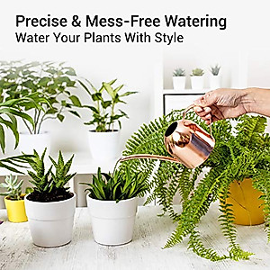 MOnu Small Metal Watering Can - Cute Mini Indoor Decorative Watering Pot for Desk Office House Plants Orchids Herbs Bonsai Succulents - Gardening Tool Sprinkler with Long Spout - 15oz/500ml Rose Gold