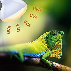 REPTI ZOO 100W Reptile Heat Lamp Bulbs Combo, Upgraded 2 Pack Day & Night Basking Spot Light, UVA Daylight Heating Lamp & Infrared Heat Lamp for Reptiles & Amphibians