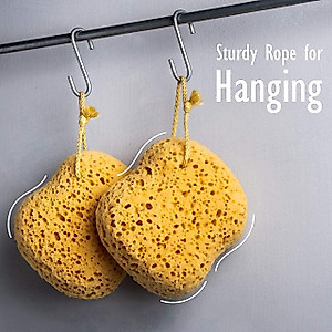 myHomeBody Premium Bath Sponge, Foam Loofah Sponge, Body Sponge for Shower - Large Size, Lots of Lather, Curvy, 3 Pack