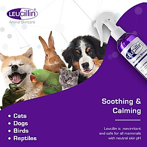 Leucillin Natural Antiseptic Spray for Dogs, Soothes Itchy Skin and Promotes Healing, Effective Treatment for Dogs, Wound and Skin Care Solution for Pets, First Aid Kit Essential - 150ml
