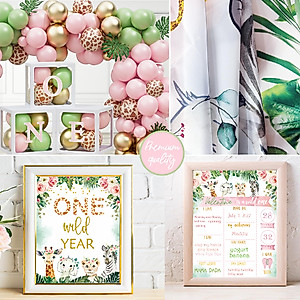 YSHMFEUX Wild One Birthday Decorations Party Supplies for Girl, 1st Birthday Girl Decorations, Jungle Animal 1st Birthday Party Supplies, First Birthday Decorations for Girls