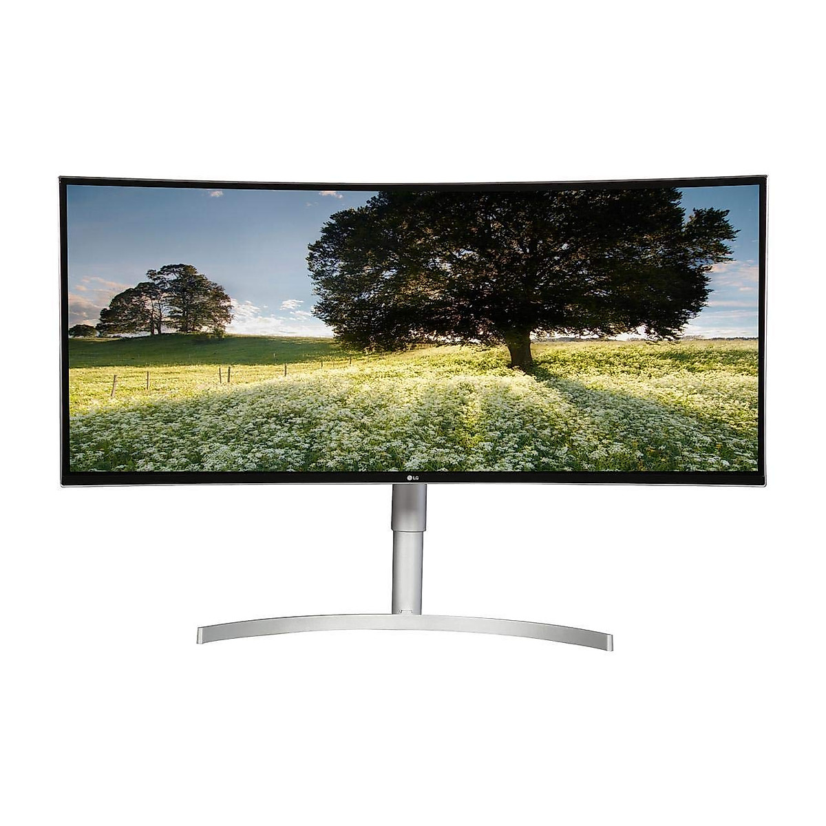 LG Electronics LCD Screen Desktop Monitor 38" (38BK95C-W)