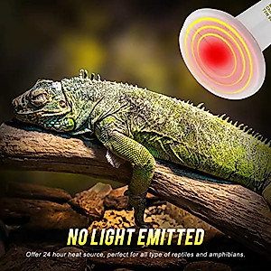 WUHOSTAM 2 Pack 75W White Ceramic Heat Lamp with 1-pcs Digital-Thermometer,Infrared Bulb Emitter Lamp Infrared Bulb for Pet Brooder Coop Chicken Lizard Turtle Snake Aquarium ETL Listed