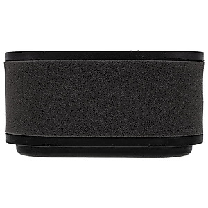 Exmark 136-7806 Air Filter Kit Quest Radius E S Series 2 Pack