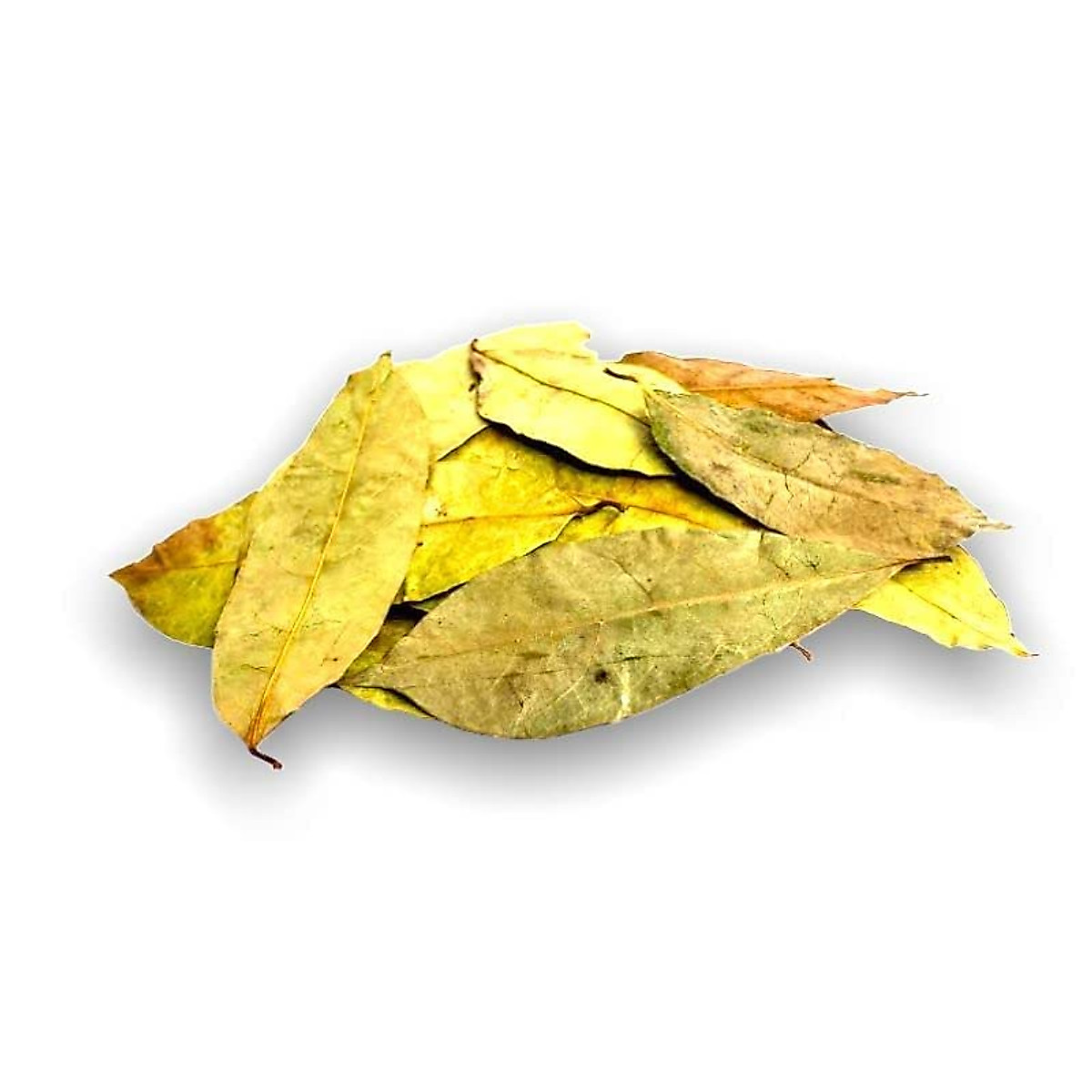 Yerbero - Whole Wildcrafted Dried Graviola Soursop Leaves 1 LB (453g - 1300+ Leaves Per Bag) Hoja De Guanabana Seca, Crafted By Nature | Vacuum Sealed for Freshness | From Mexico | Premium Quality.