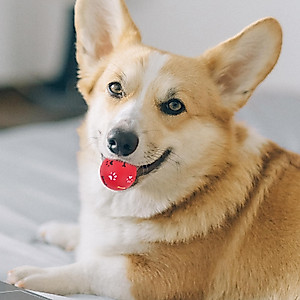 Interactive Food Dispensing Small Dog Toy, Treat Ball Pet Food Ball, Interactive Training Slow Feeder Toy Food Dispenser Slow Feeder for Small Dogs (Red)