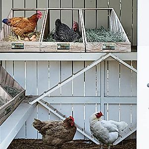 Single Compartment Hens Nesting Box, Chicken Coop Accessories, Wood Nesting Boxes for Up to 5 Hens, Big Duty Laying Nest Box for Duck and Poultry(1 pack)