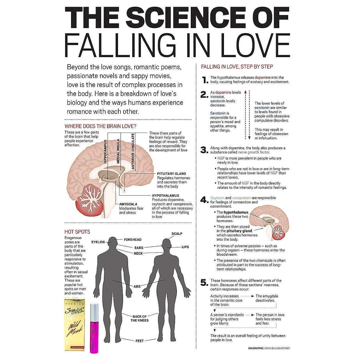 Molecules - Pheromones Perfume for Women to Attract Men - Best Way to Get Immediate Male Attention (Limited Edition Pheromone Human 10ml)