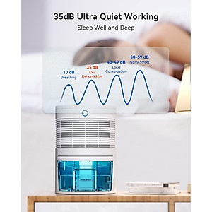 Dehumidifier - 27 oz(800ml) Small Dehumidifiers for Home Bedroom Bathroom Basements Closet RV Room, 2200 Cubic Feet Full Auto-Off Portable Electric Mini Dehumidifier for Space Up to 190 sq ft