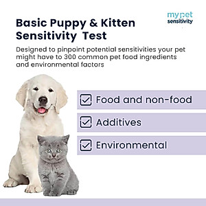 My Pet Sensitivity Test - Home Puppy & Kitten Sensitivity Test | 300 Items | 3-5 Day Results | Non-Invasive Hair Sampling | Comprehensive Food & Environmental Analysis | Ideal for Young Pets