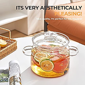 3-Quart Glass Stock Pot,Glass Pitcher，Stockpot, Stew Pot, Simmering Pot, Soup Pot with Lid, Dishwasher Safe