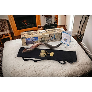 SHOFAR Set Half Polished Half Natural Kudu Horn Yemenite + Bag + Spray + Guide + Carrying Box Case (30"-32") From Israel