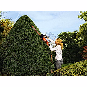 BLACK+DECKER Hedge Trimmer, Rotating Handle, Dual Blade Action Blades, 3.3-Amp, 24-Inch (HH2455)